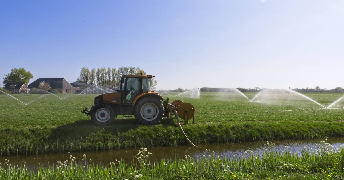 Provincie Noord-Brabant zet koers naar toekomstbestendig grondwatergebruik