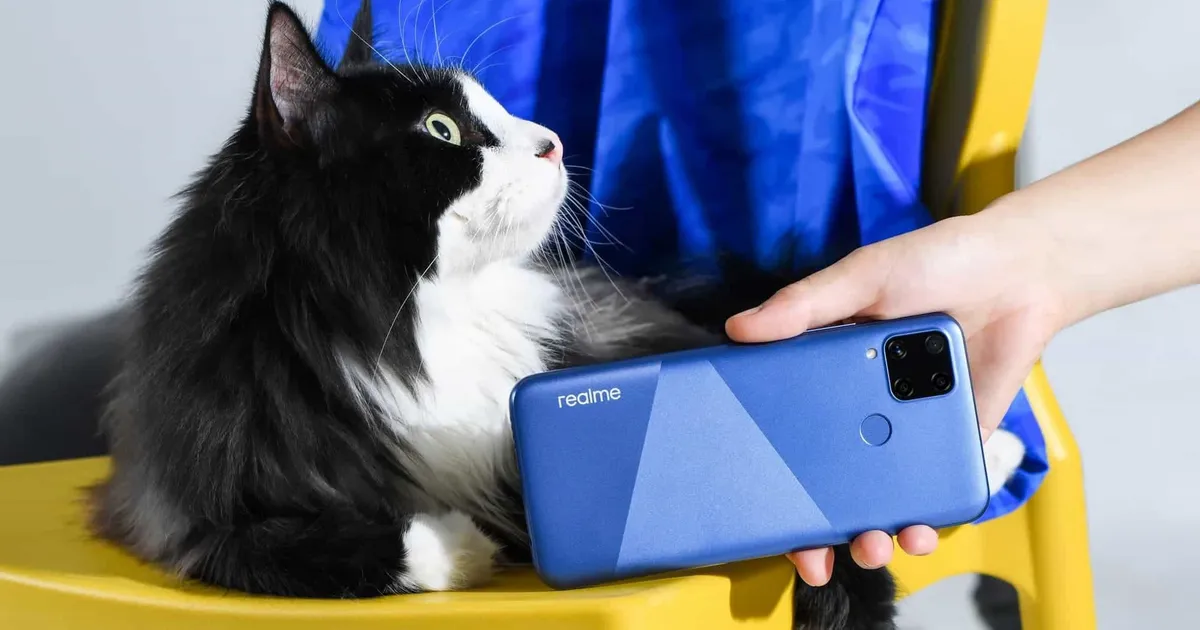 Realme C15 is official: budget with huge battery and quad-camera