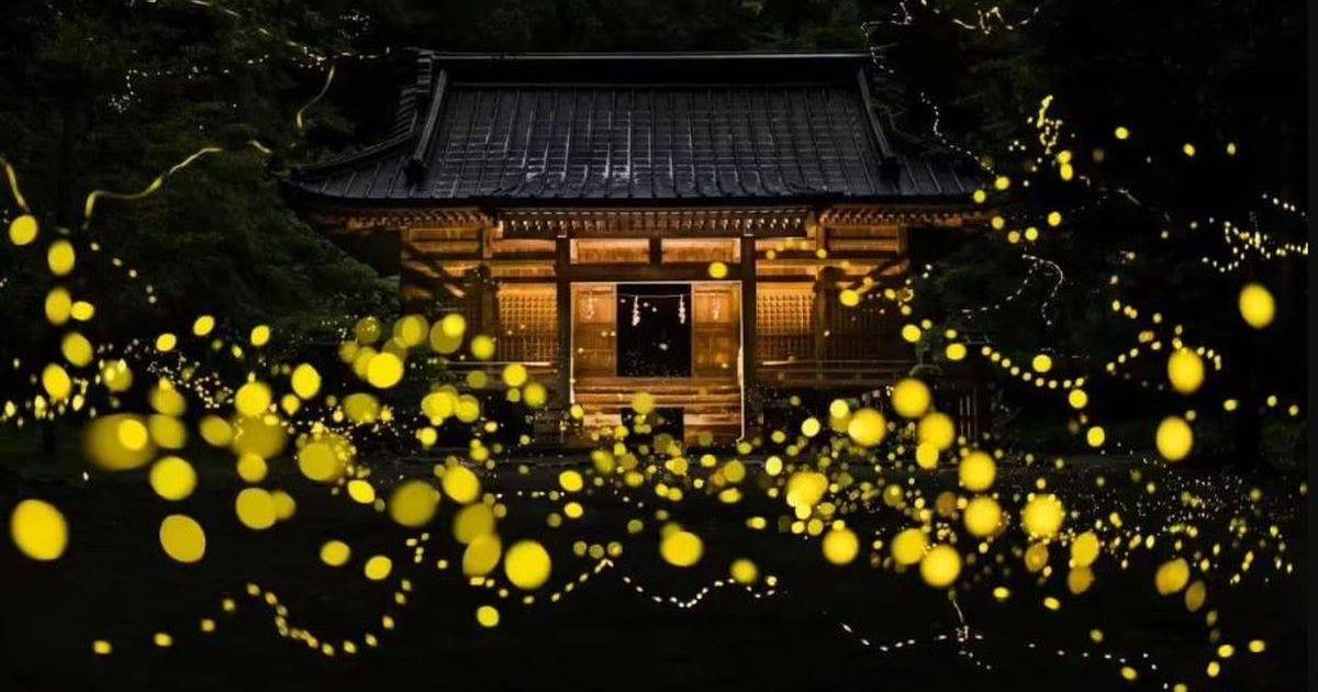 How to capture good images without proper editing skills