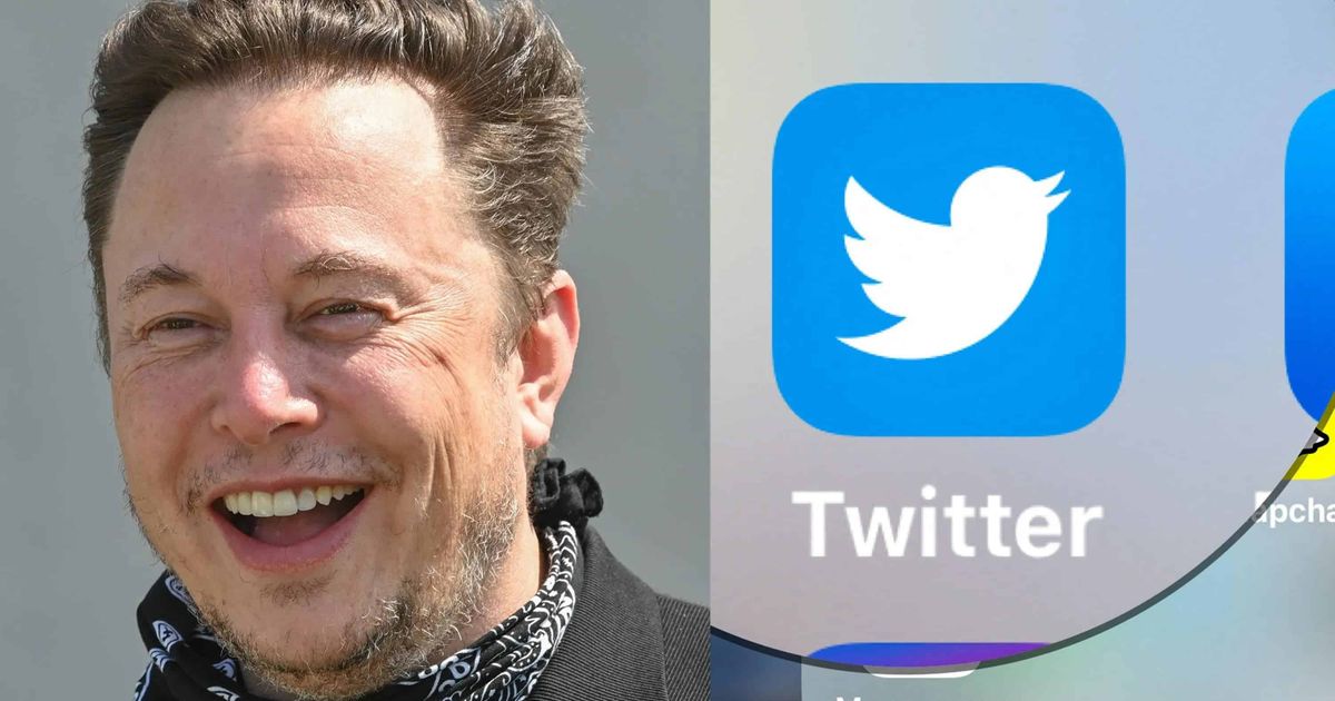 Twitter: Tweet editing will include edit history - Gizchina.com