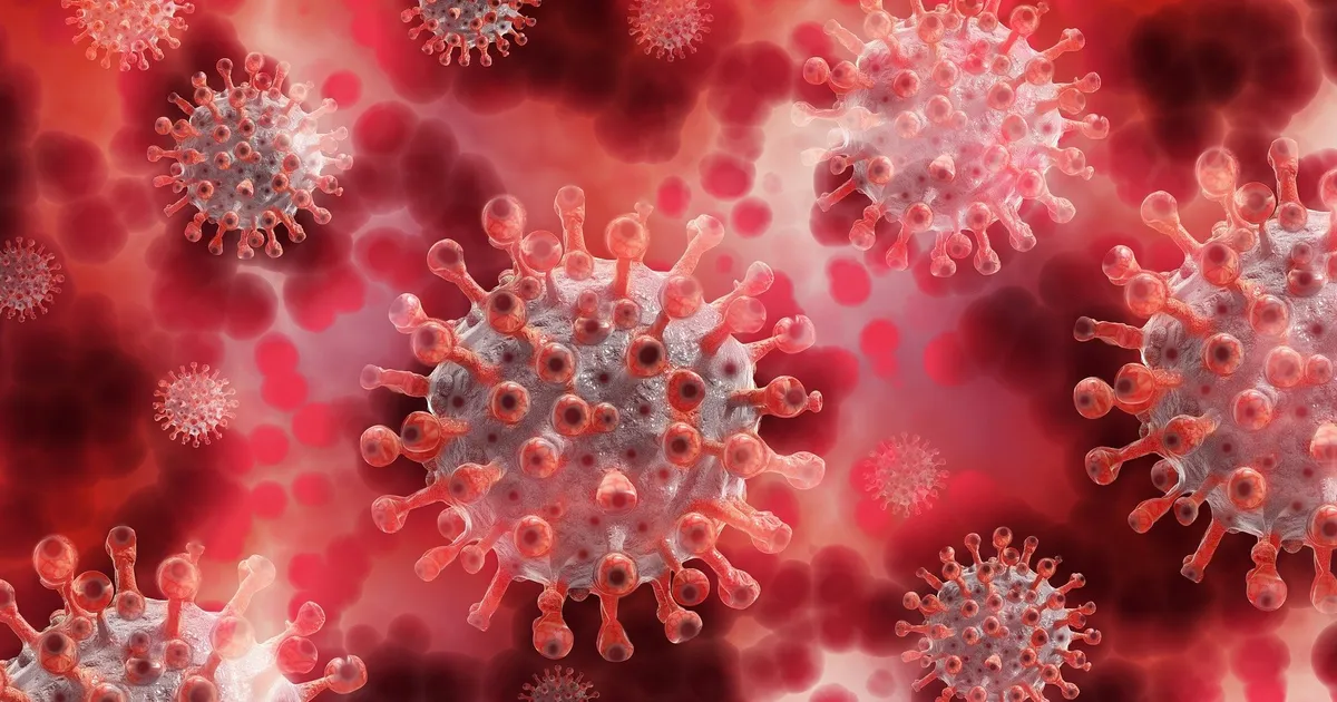 Coronapil in basispakket voor risicogroepen