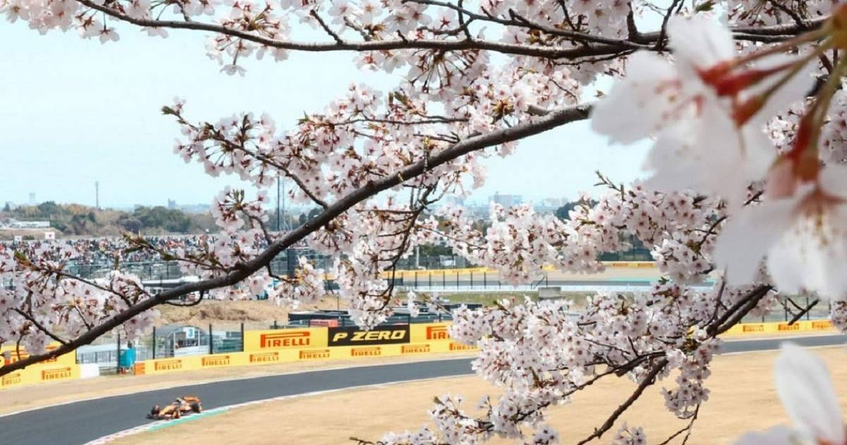McLaren aiming to bounce back at Japanese Grand Prix this weekend in Suzuka