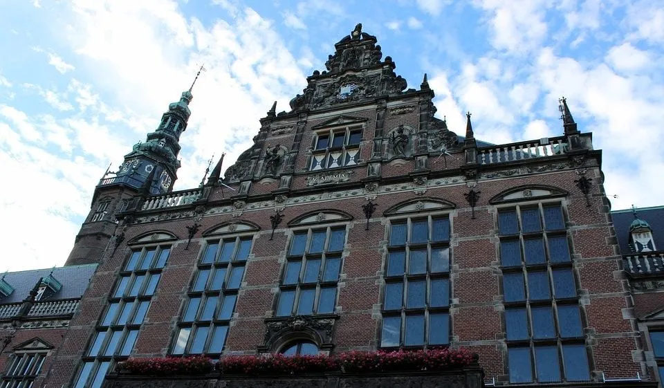 RUG stelt interim-hoogleraar Friese taal en cultuur aan