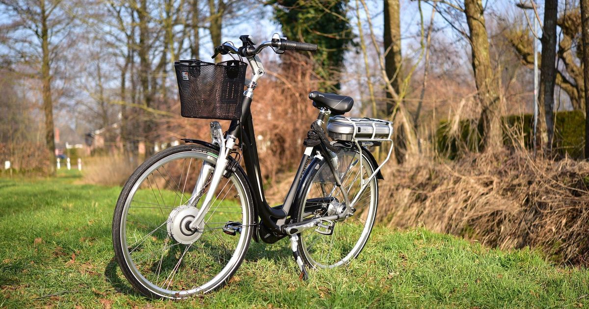 Fietsfestival Groningen in Stadspark zaterdag