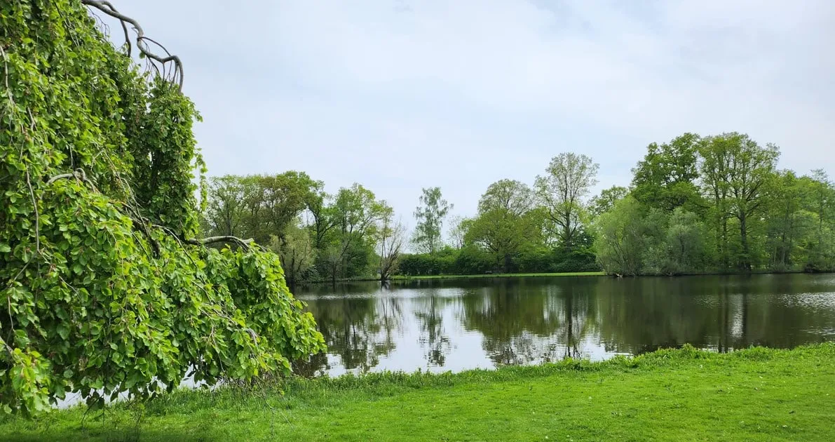Excursie in het Stadspark