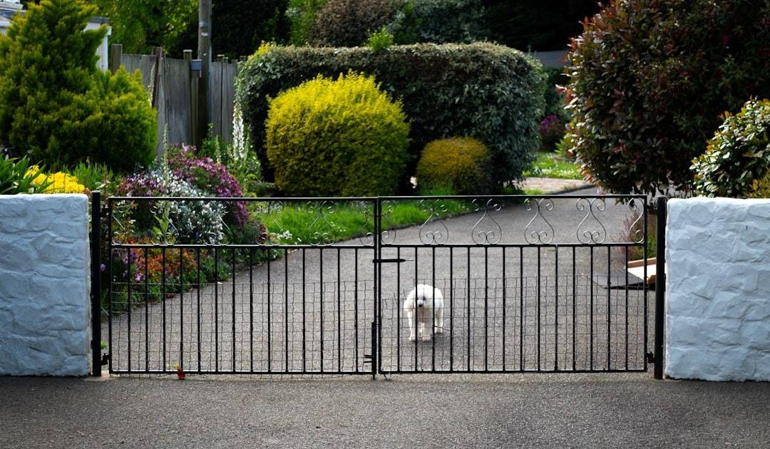Ontdek wat er te winnen is met een geautomatiseerde poort