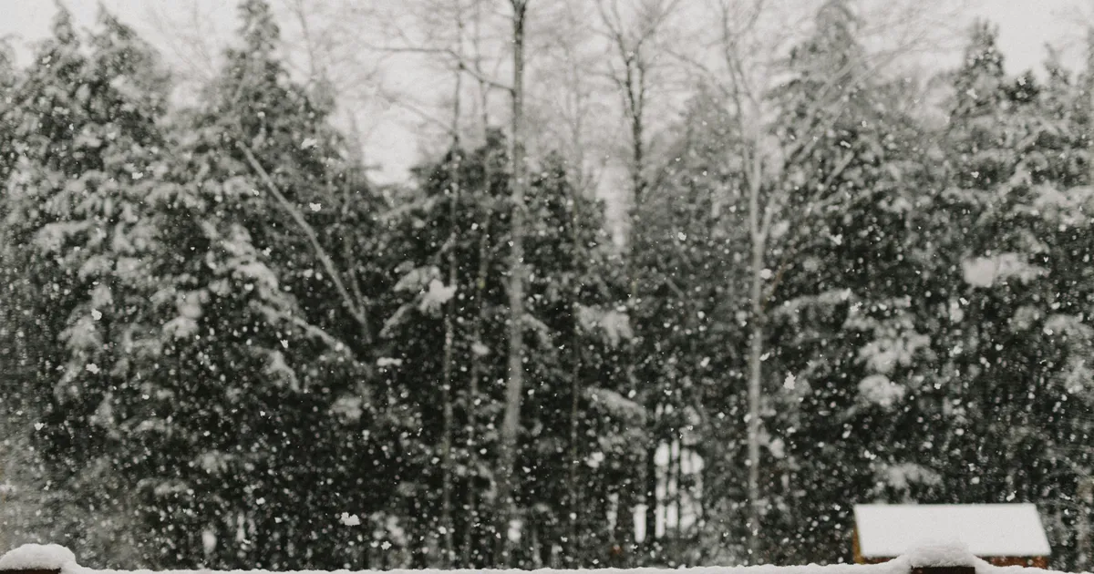 Zet je schrap: Veel meer sneeuwval op komst dan verwacht