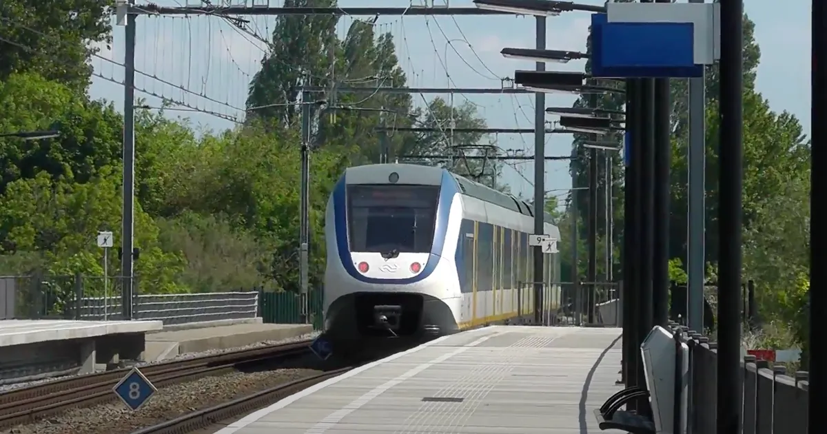Man valt op het spoor en wordt vervolgens aangereden door een trein