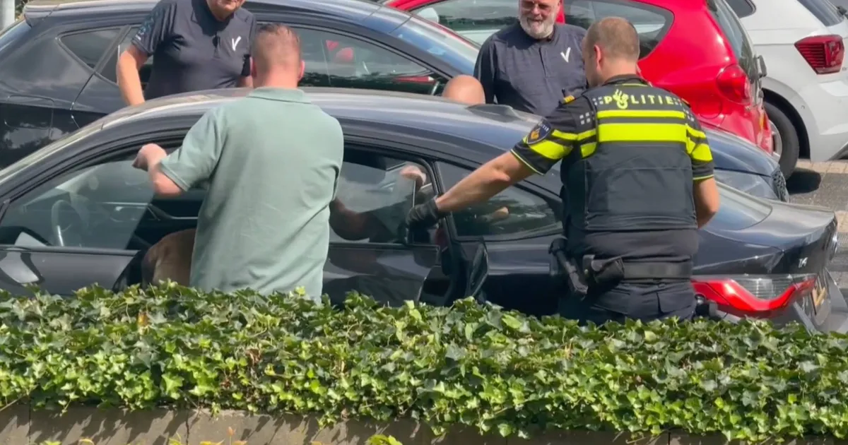 Politie bevrijd hond uit snikhete auto