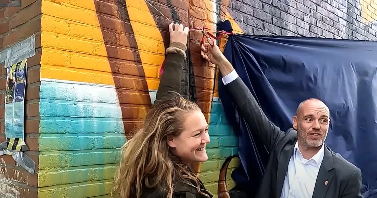 Nieuw kunstwerk in Haarlem: gigantische muurschilderingen op Nagtzaamplein