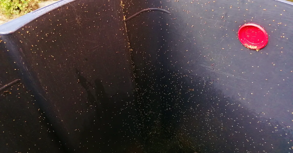 Hoe voorkom je maden in de GFT-afvalcontainer?