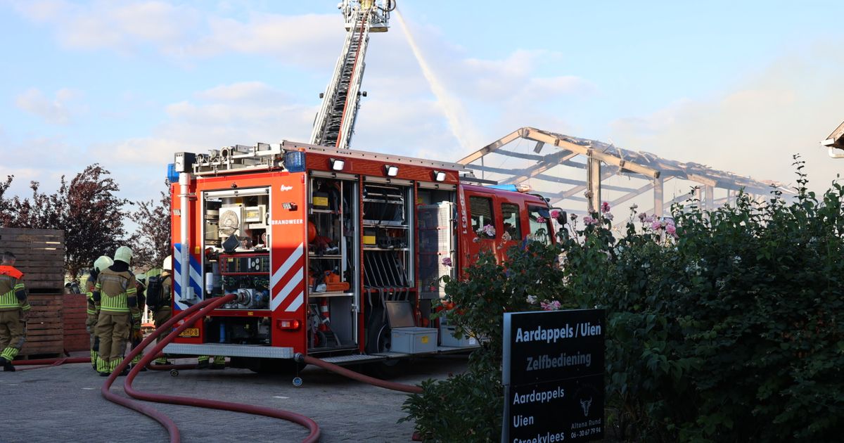 Grote stalbrand in Nieuwendijk
