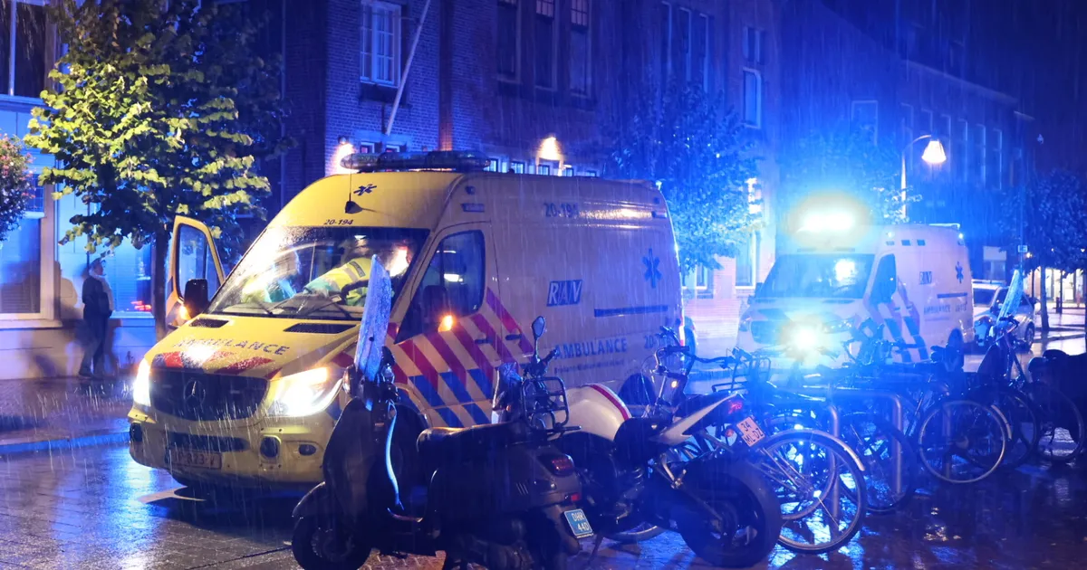 Man zwaargewond na val uit boom