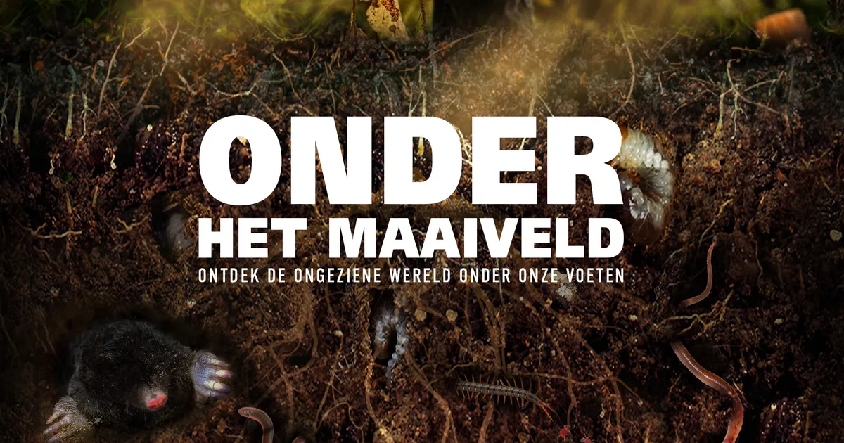 Documentaire Herenboeren de Langstraat “Onder het Maaiveld”