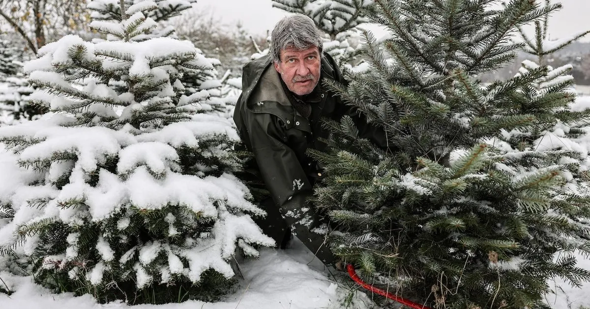 Zo groot is de kans op een witte kerst dit jaar