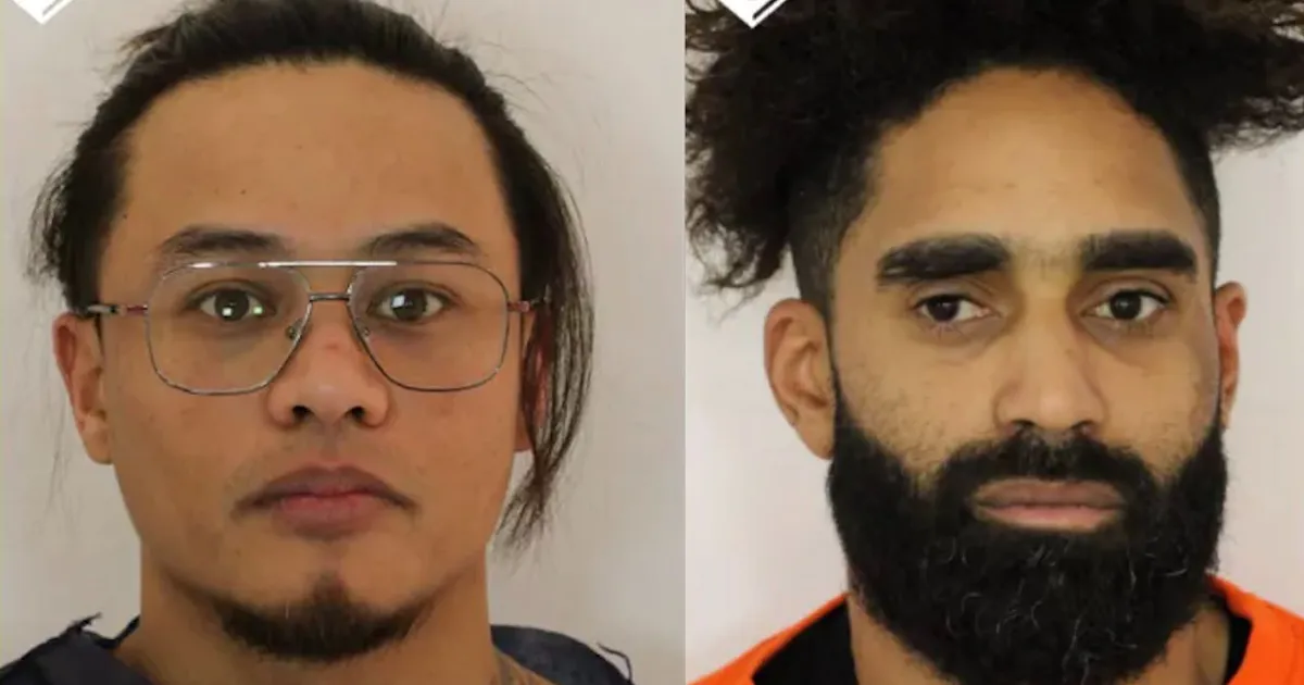 Politie maakt namen bekend van daders bizarre kunstroof uit Drents Museum