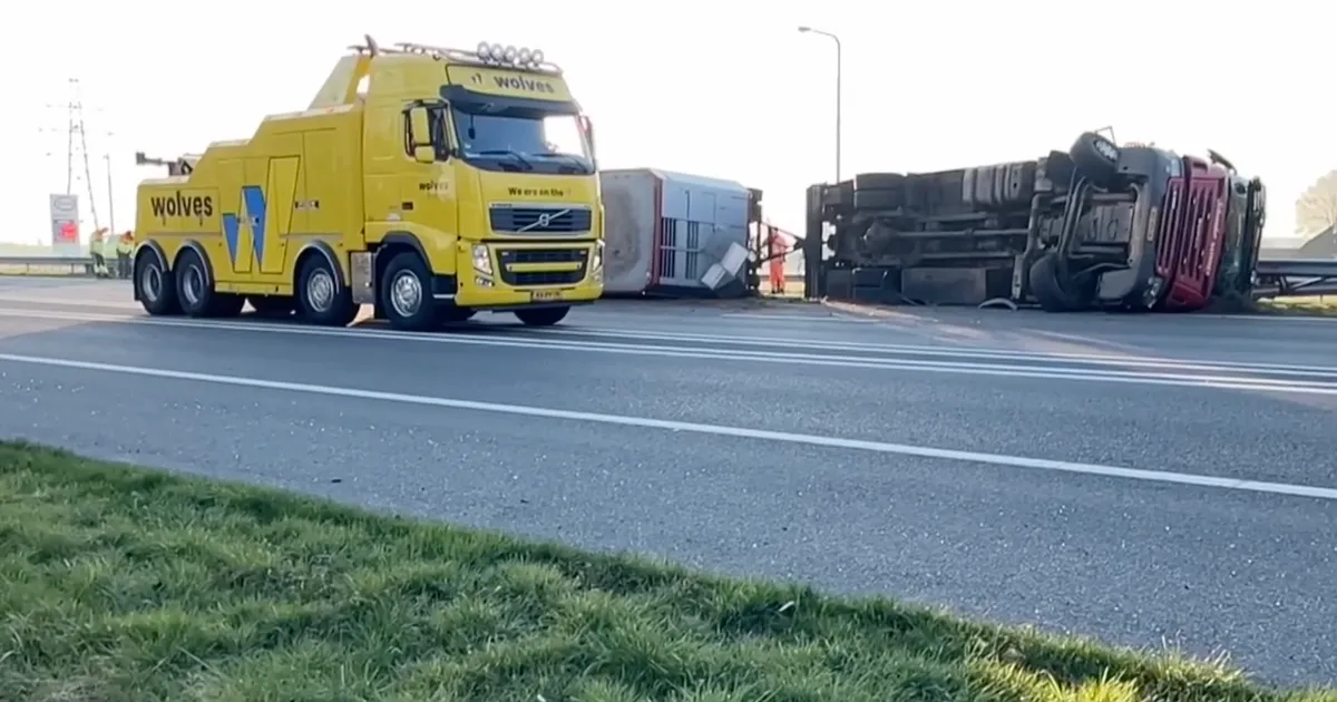 A18: Meerdere koeien dood na ernstig ongeluk op snelweg