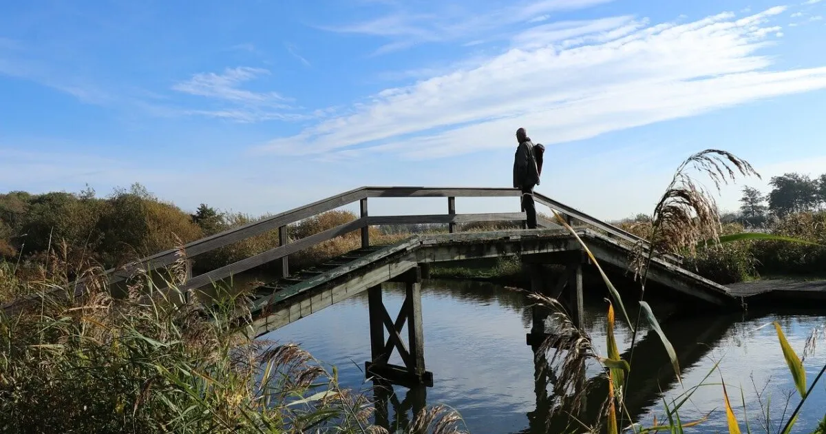 Fonds voor versterking van bij NMFF aangesloten organisaties