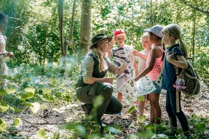Op kamp in Nationaal Park Nieuw Land