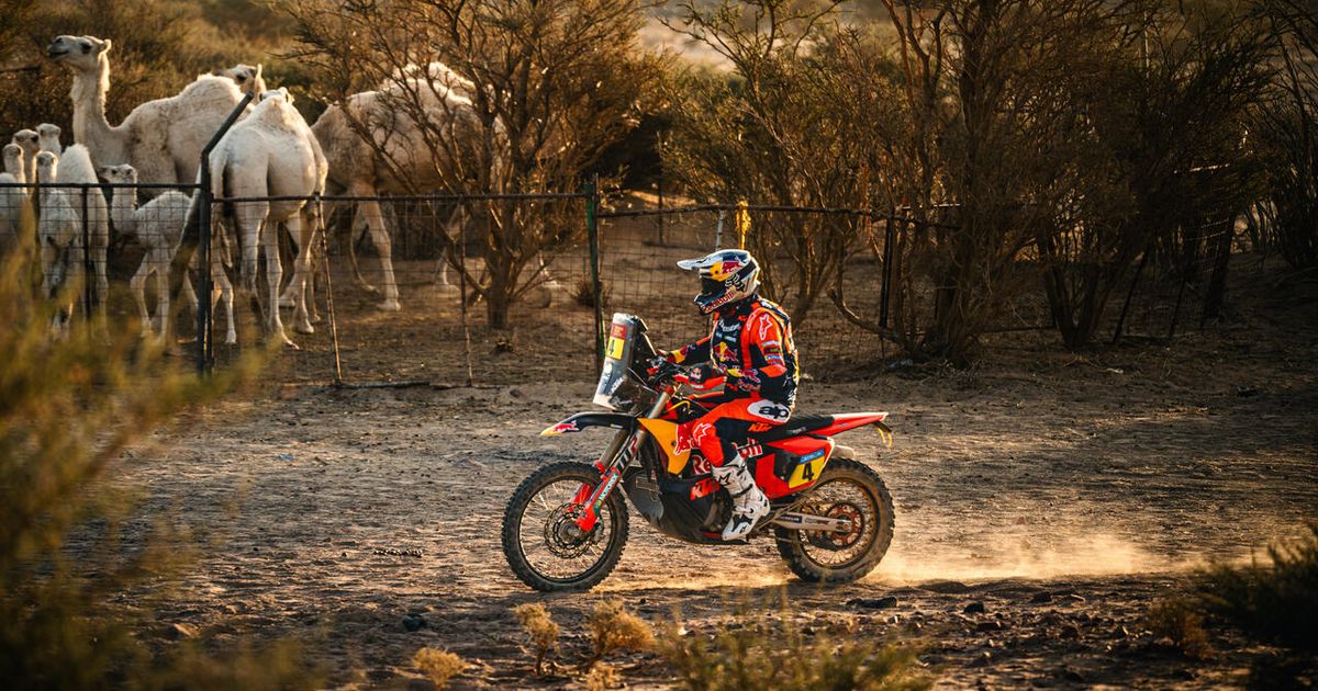 Dakar 2025 | Moto, Stage 4: Sanders vince ancora, Schareina nuovo ...