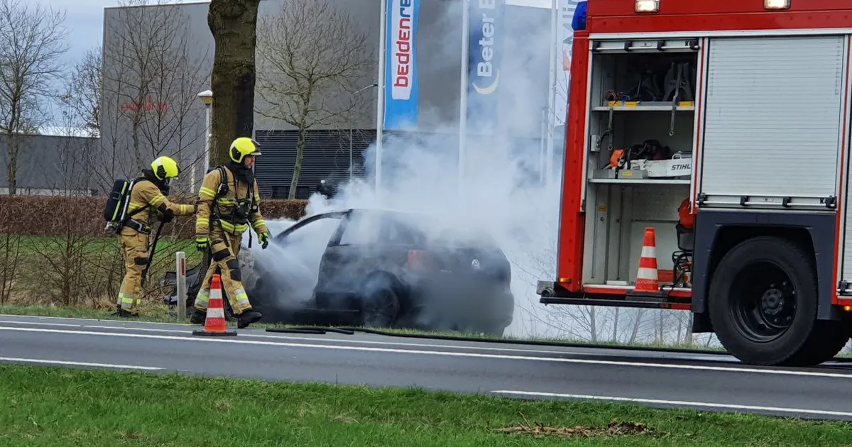 19-jarige automobilist overleden na botsing tegen boom aan N264 Volkel (VIDEO)