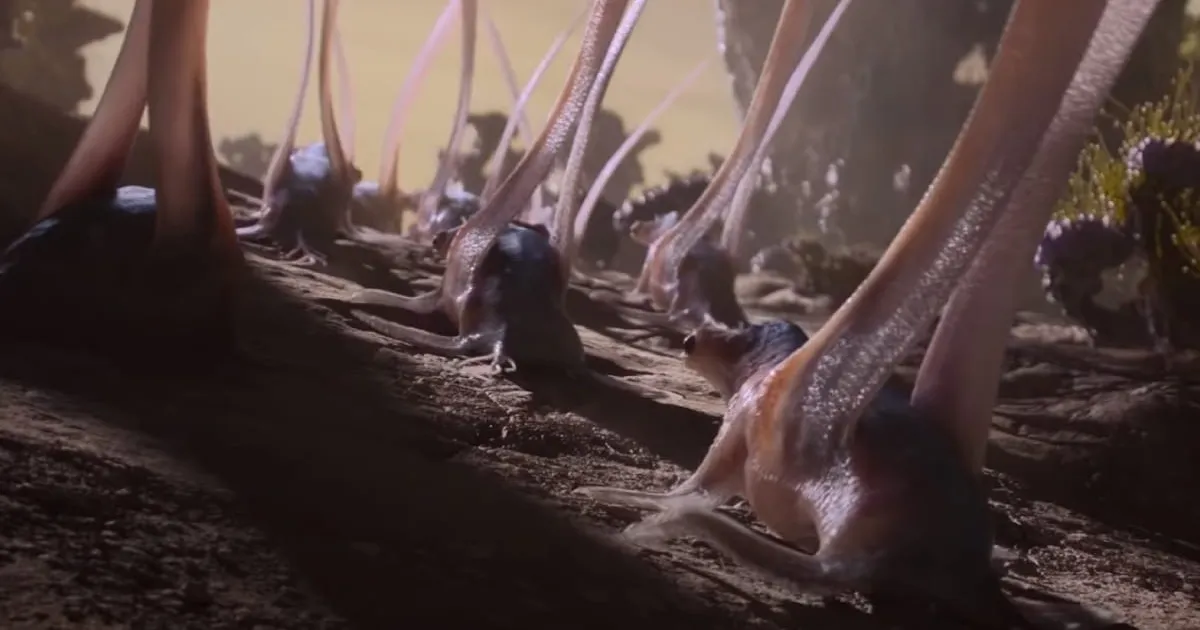 Buitenaards leven voor het eerst in beeld in nieuwe Netflix-hit Alien ...