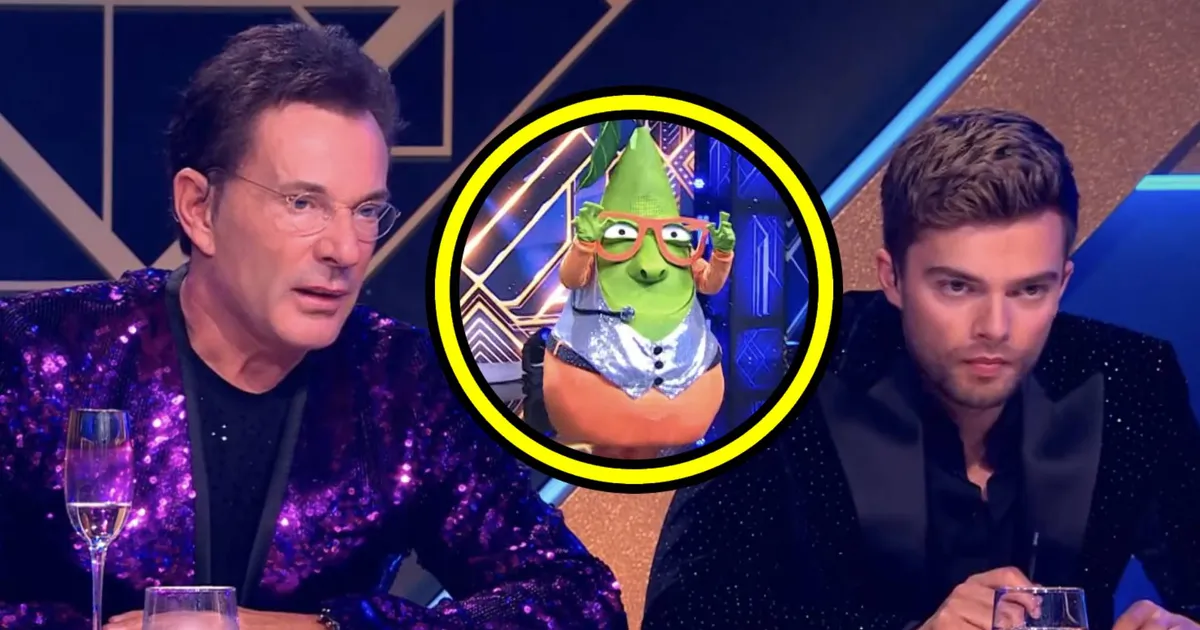 Kostuums bij The Masked Singer zijn véél prijziger dan je denkt: 'Heel ...
