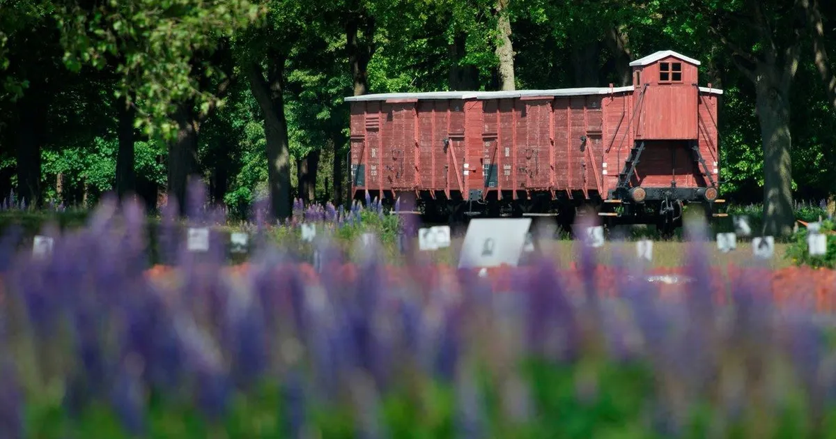 Meppelers kunnen gratis naar Kamp Westerbork
