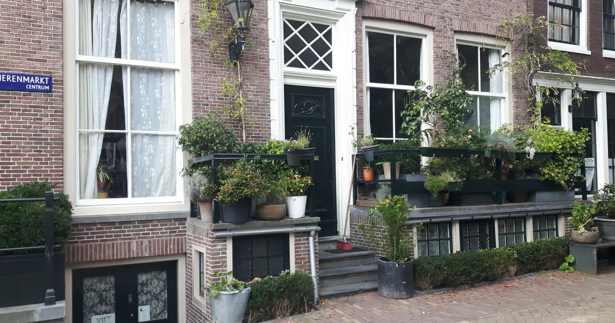 Waarom groen ons zo gelukkig maakt