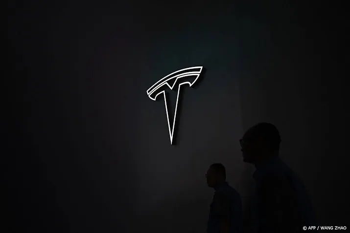 Frankrijk hoopvol over investering Tesla