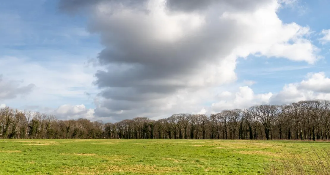 Het weer met Piet Paulusma: vanmiddag meer zon
