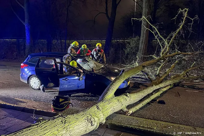 Storm Dudley zorgt voor omgewaaide bomen en auto in greppel