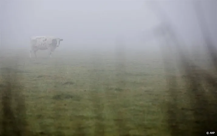 Code geel om dichte mist in Friesland en op de Wadden
