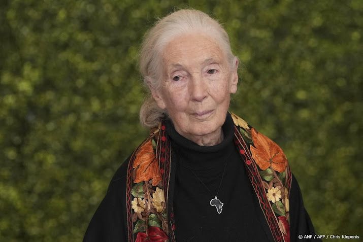 National Geographic zendt twee docu's over Jane Goodall uit
