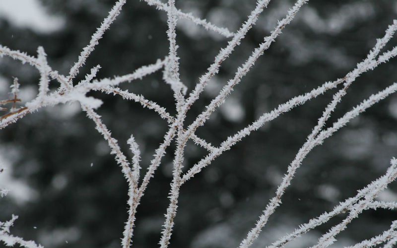Het weer slaat helemaal om: Het gaat zelfs opnieuw vriezen