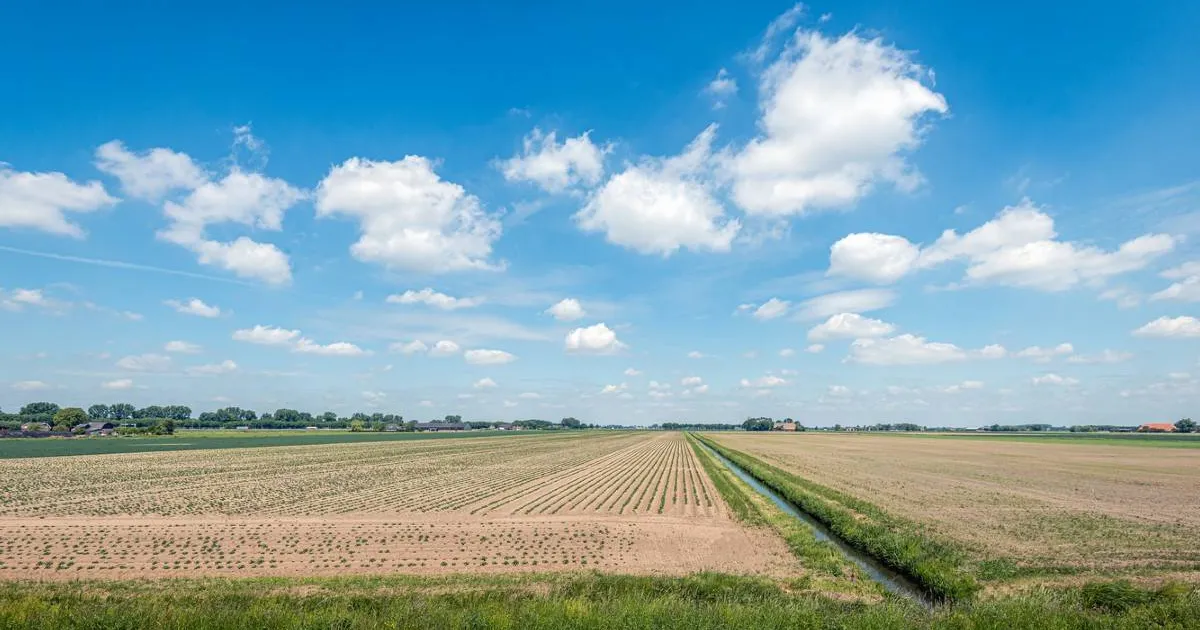 Hittegolf op komst? Dit is wat de droogte nu al aanricht in Vlaanderen
