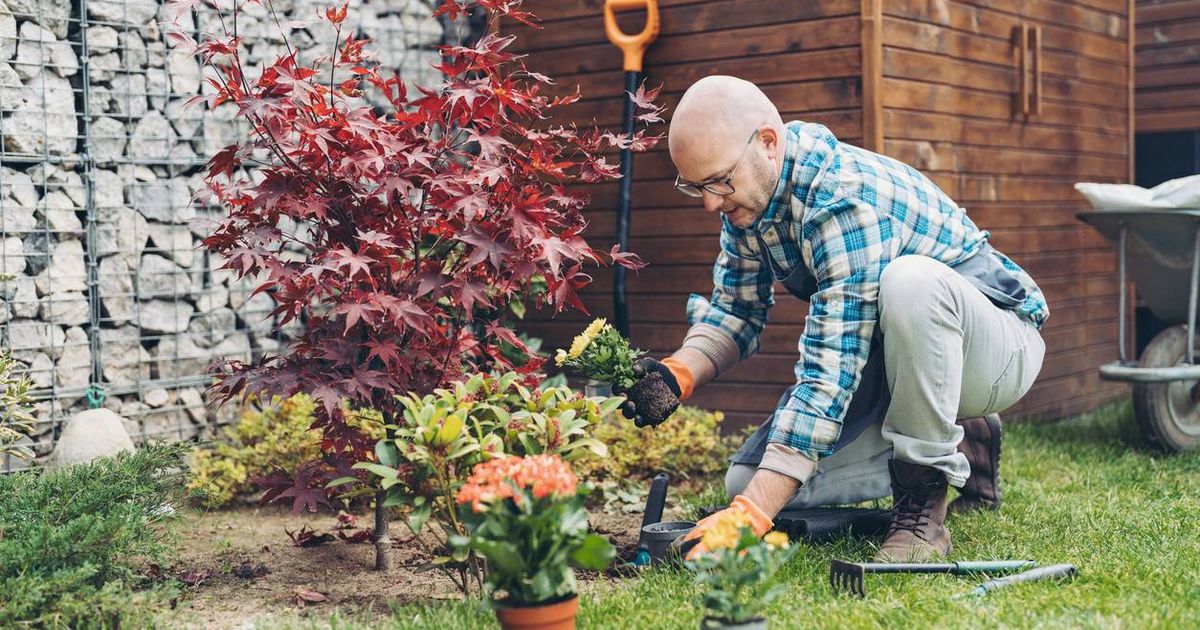 Tuinexperts geven tips: Dit moet je in de maand juni doen voor een ...