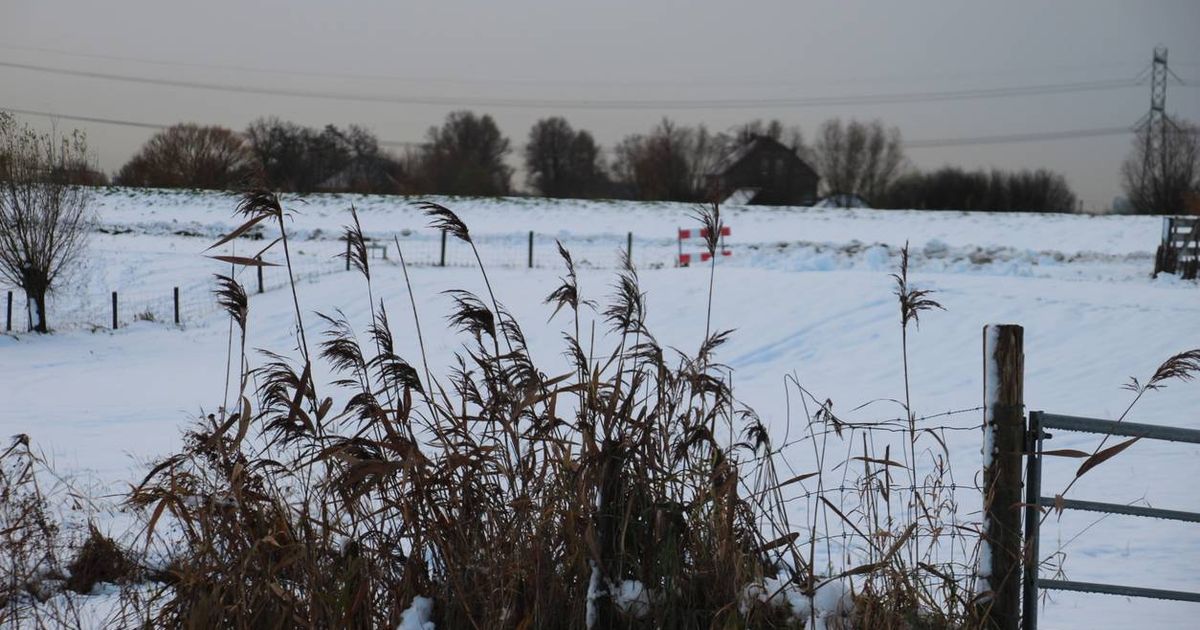 Komt er sneeuw? KMI heeft er meer nieuws over