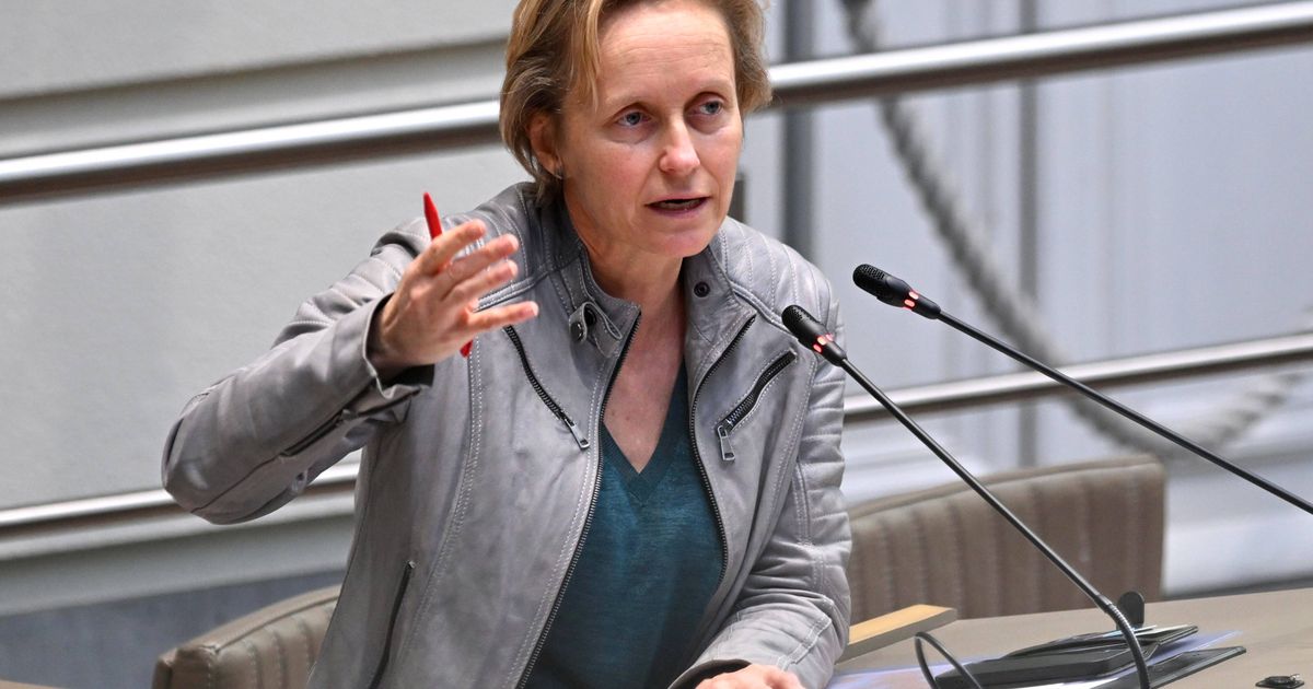 Van pispaal tot topminister: het heftige pestverleden van Annick De Ridder