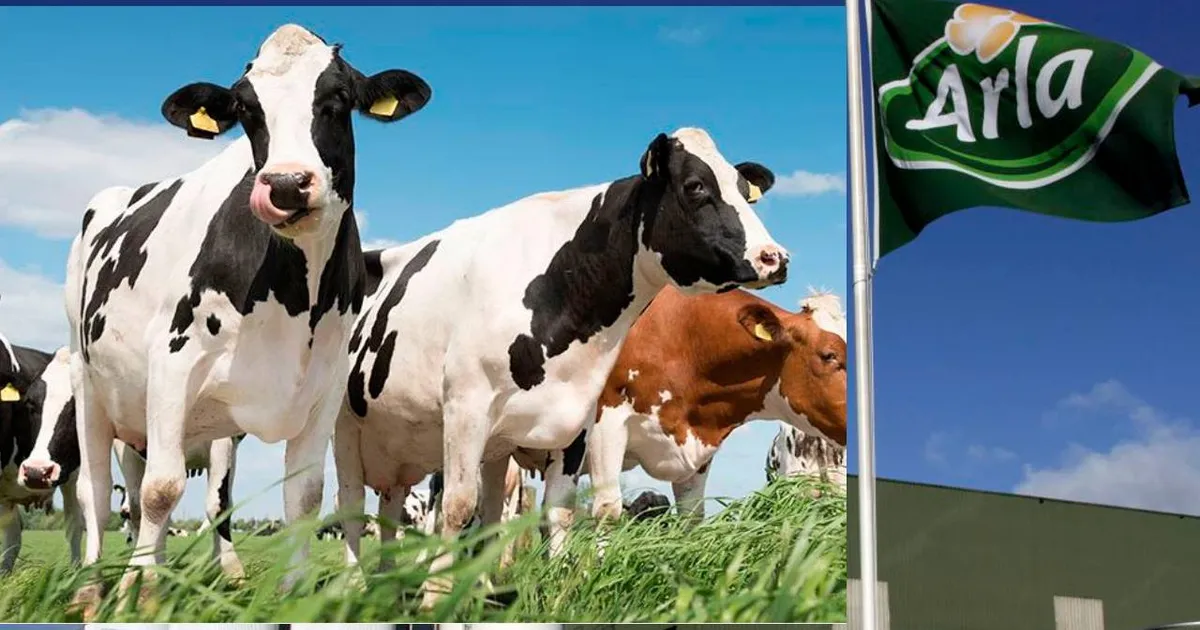 Arla Foods boekt recordwinst