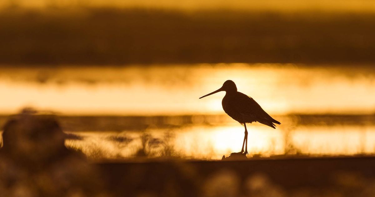 27 november: Open avond VNF Nijkerk
