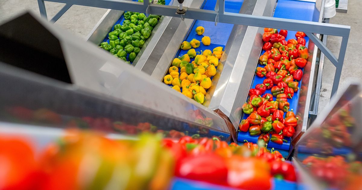 Ontdek de herkomst én toekomst van bloemen, planten, groente en fruit ...