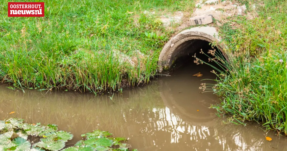 Stankoverlast Domeinweg door lek in riool