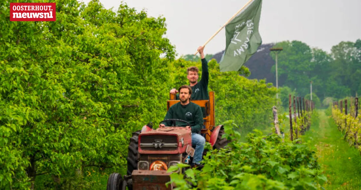Brabantse No Waste Army gaat de strijd aan tegen voedselverspilling