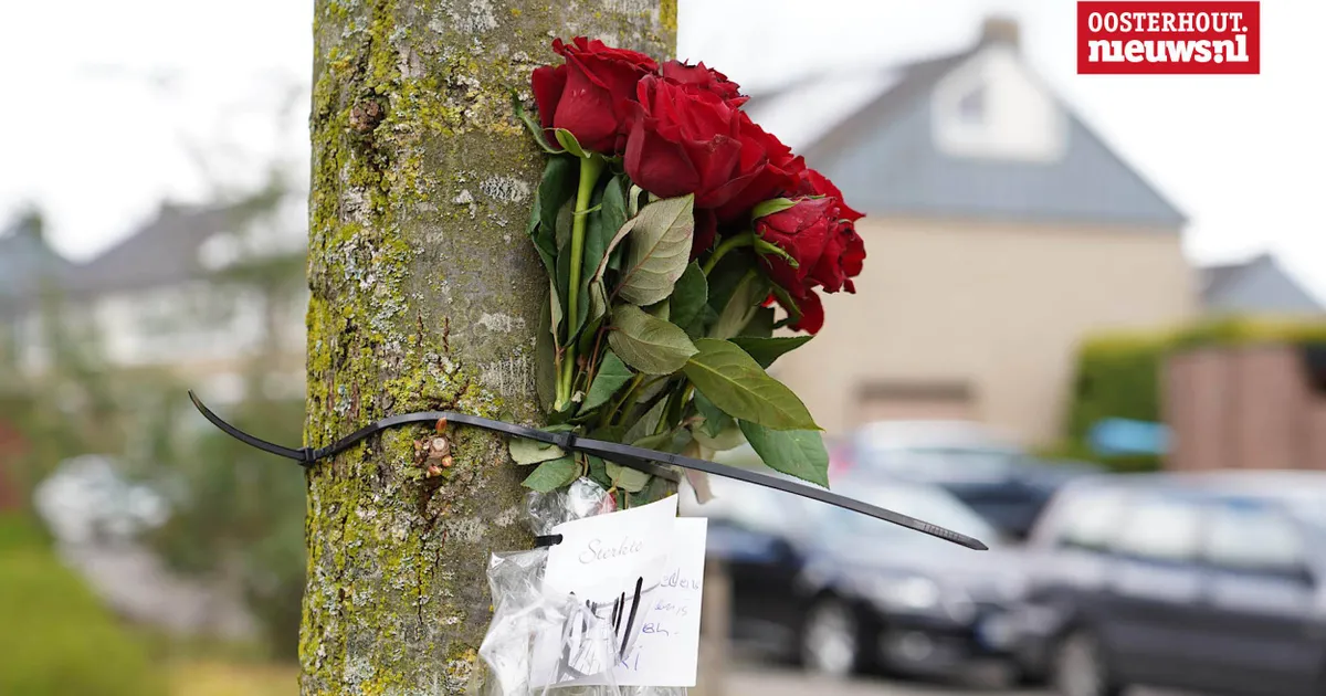 Derde slachtoffer schietincident Slotjes-Midden overleden