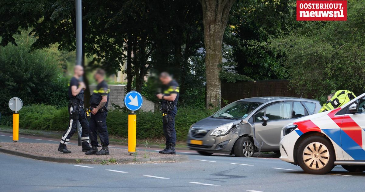 Vrouw wijkt uit voor konijn en botst tegen lantaarnpaal