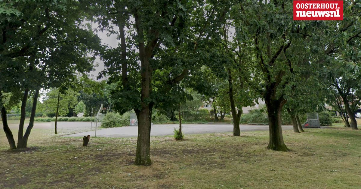Nieuwe speeltuin voor Max Havelaardreef