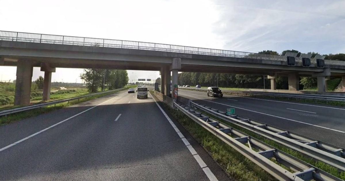 Inspectie tientallen viaducten om mogelijk verzwakte constructie