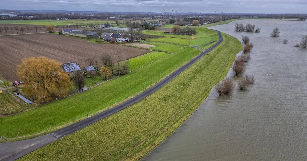 Grootse risico voor de dijken in rivierengebied blijven de bevers