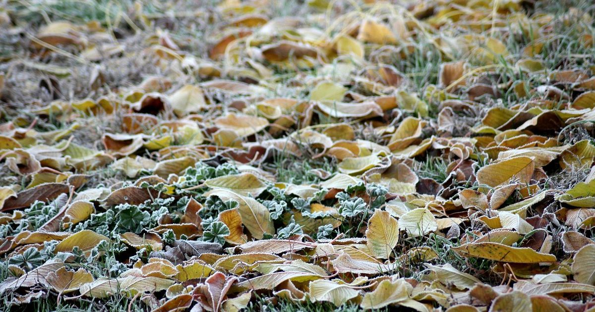 Droog en kouder weer komende week